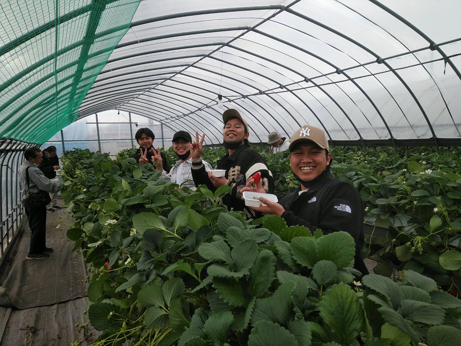 本社地区 バスハイク開催｜株式会社 湘南ユニテック